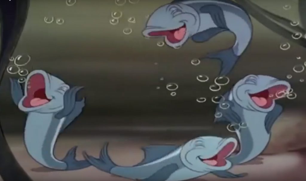 fly fishing – moxostoma